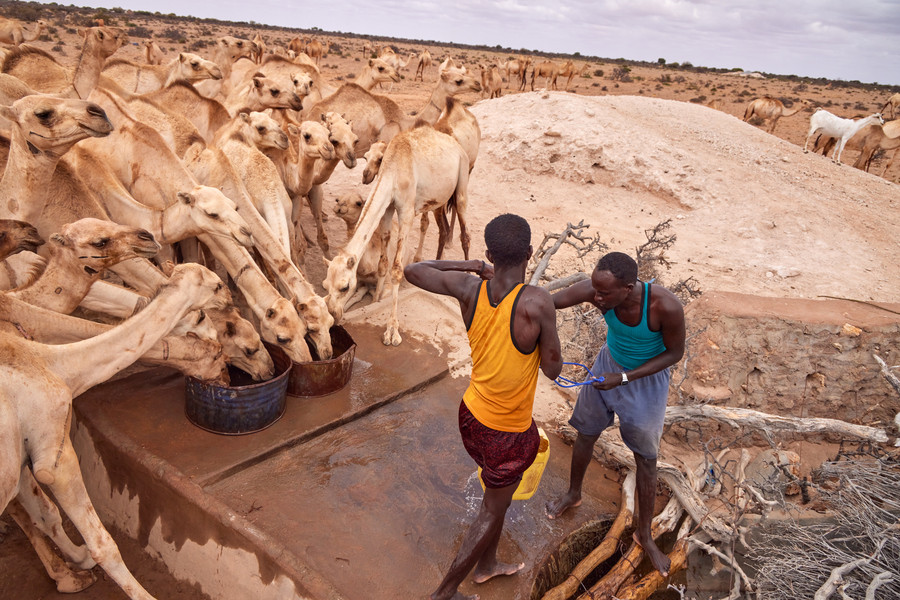 Somalia, among 12 African countries facing climate injustices, IRC ...