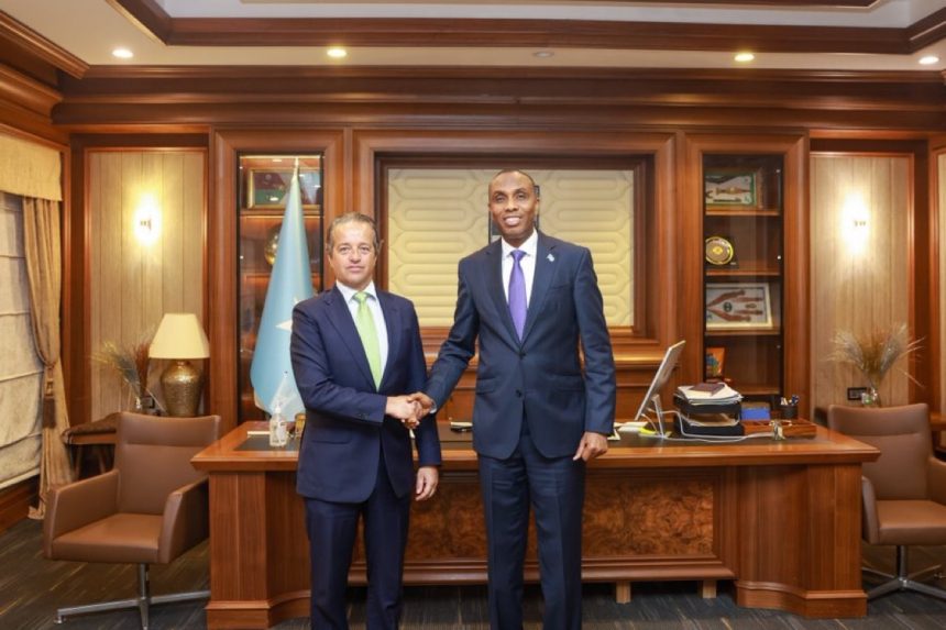 Prime Minister Hamza receives the new Italian Ambassador. - Somali Magazine