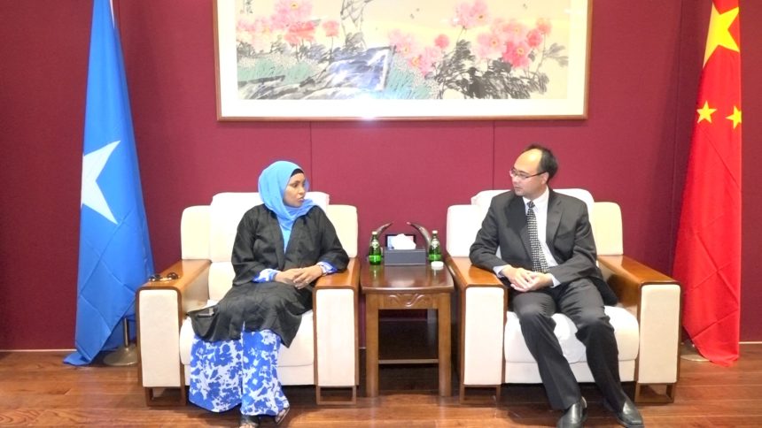 Somalia provides extra land to China for embassy expansion. - Somali ...
