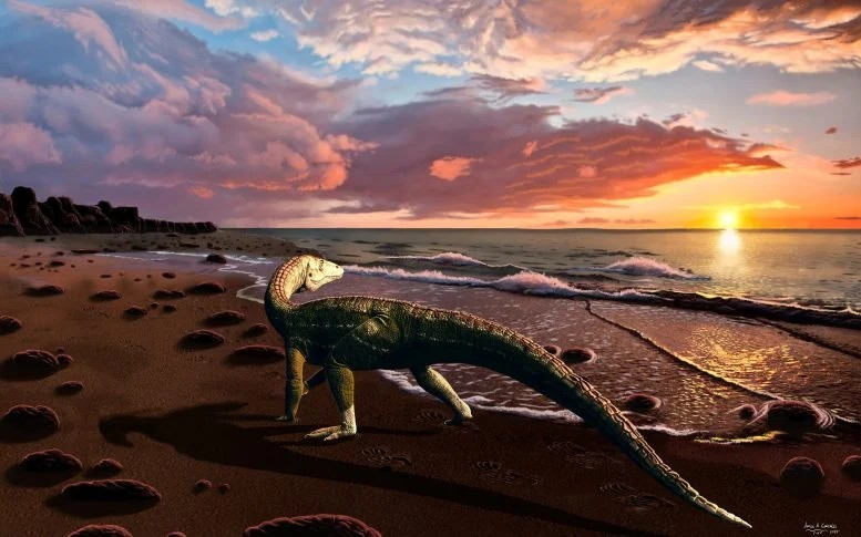 Major Archaeological Discovery in Nevada Reveals Ancient Marine ...
