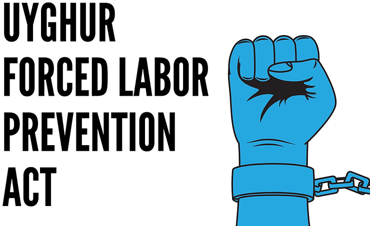 U.S. Expands Ban on Imports from Chinese Companies Over Uyghur Forced ...