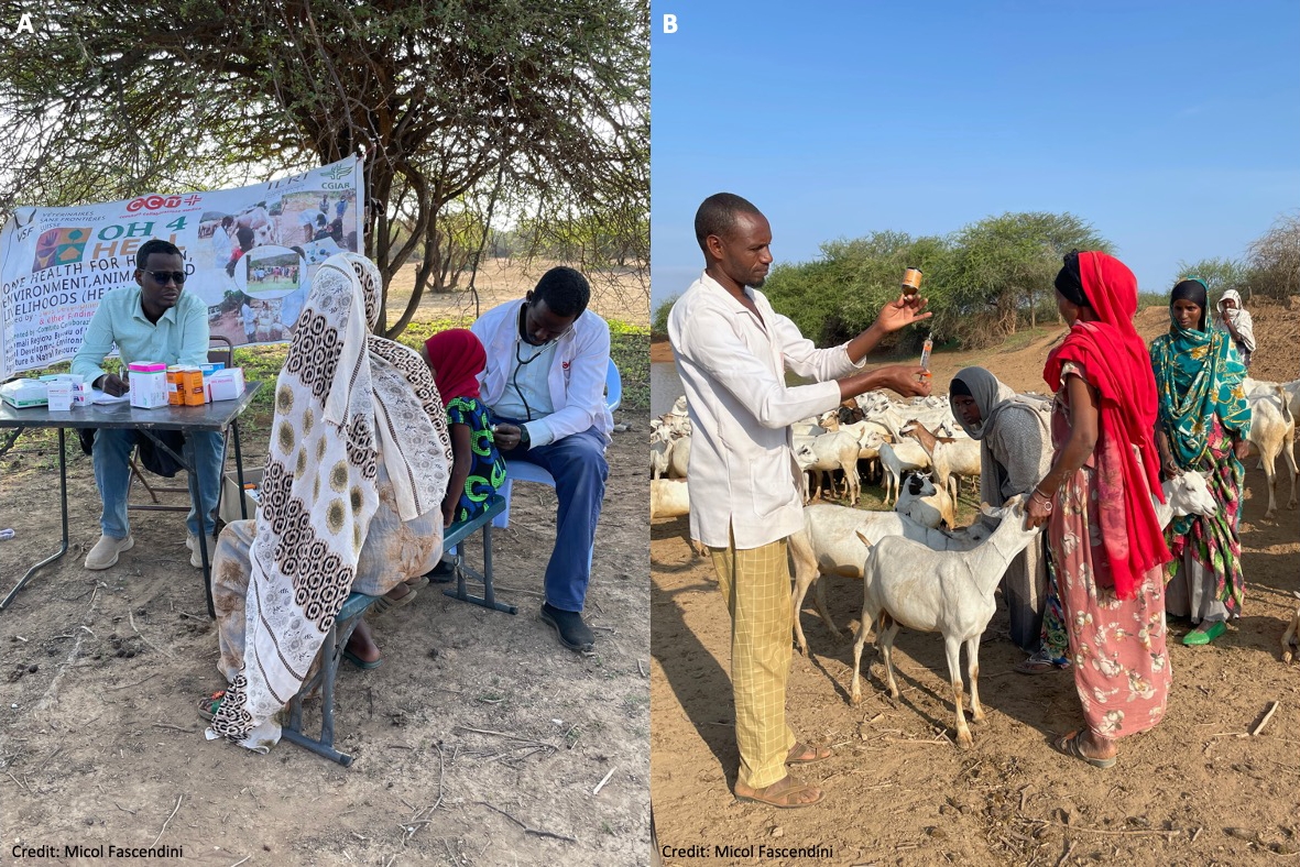 Empowering Pastoral Communities: One Health Engagement in Somalia ...