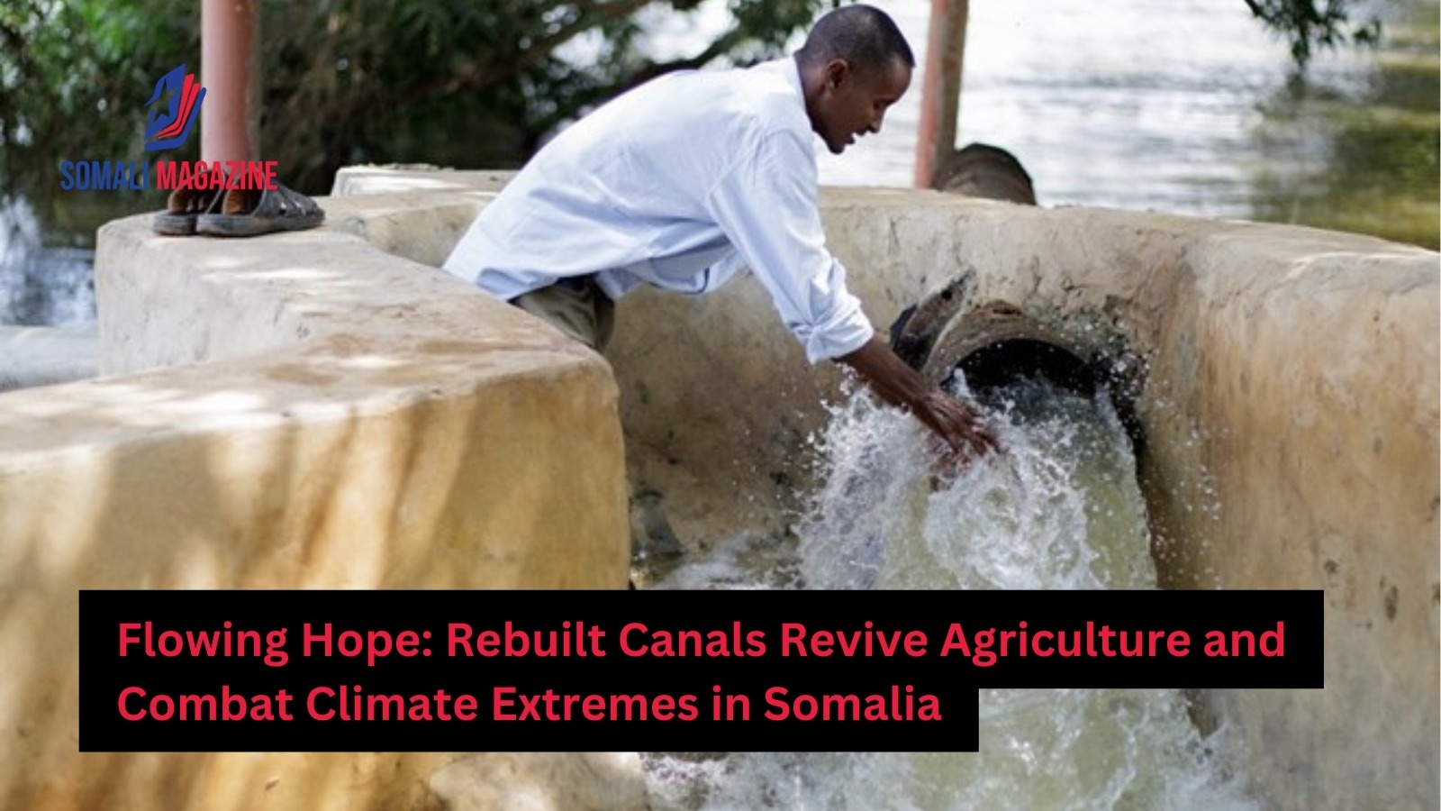 Revitalized Canals Empower Somali Farmers to Battle Drought and ...