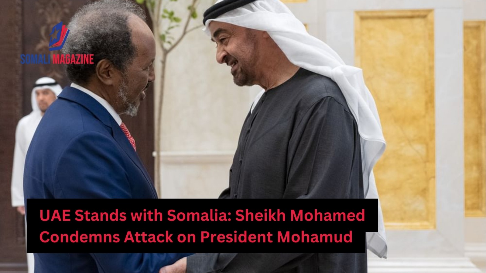 UAE President Sheikh Mohamed Expresses Solidarity with Somali Leader After Assassination Attempt ...