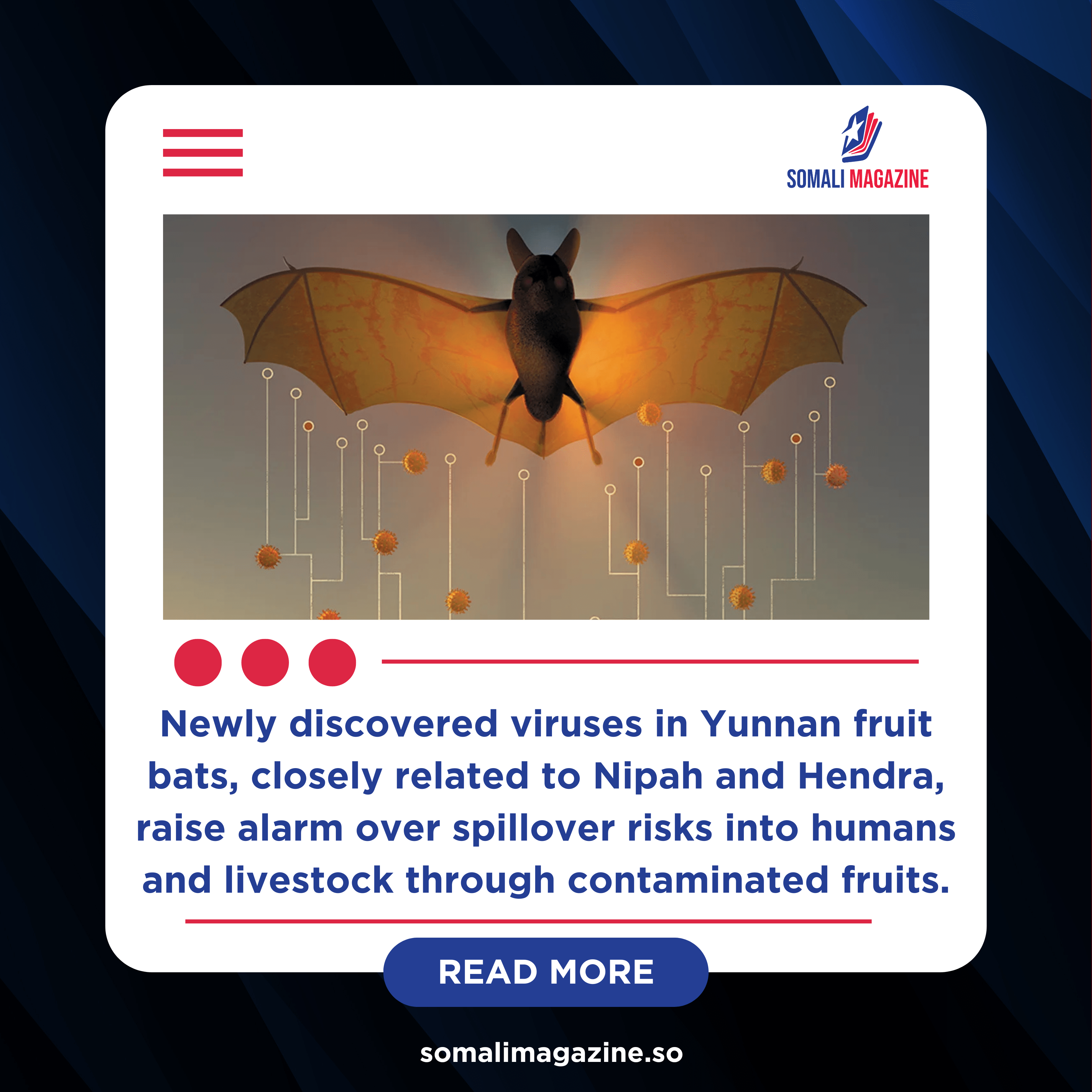 Scientists Warn of Two New Bat Viruses in China with Deadly Human ...