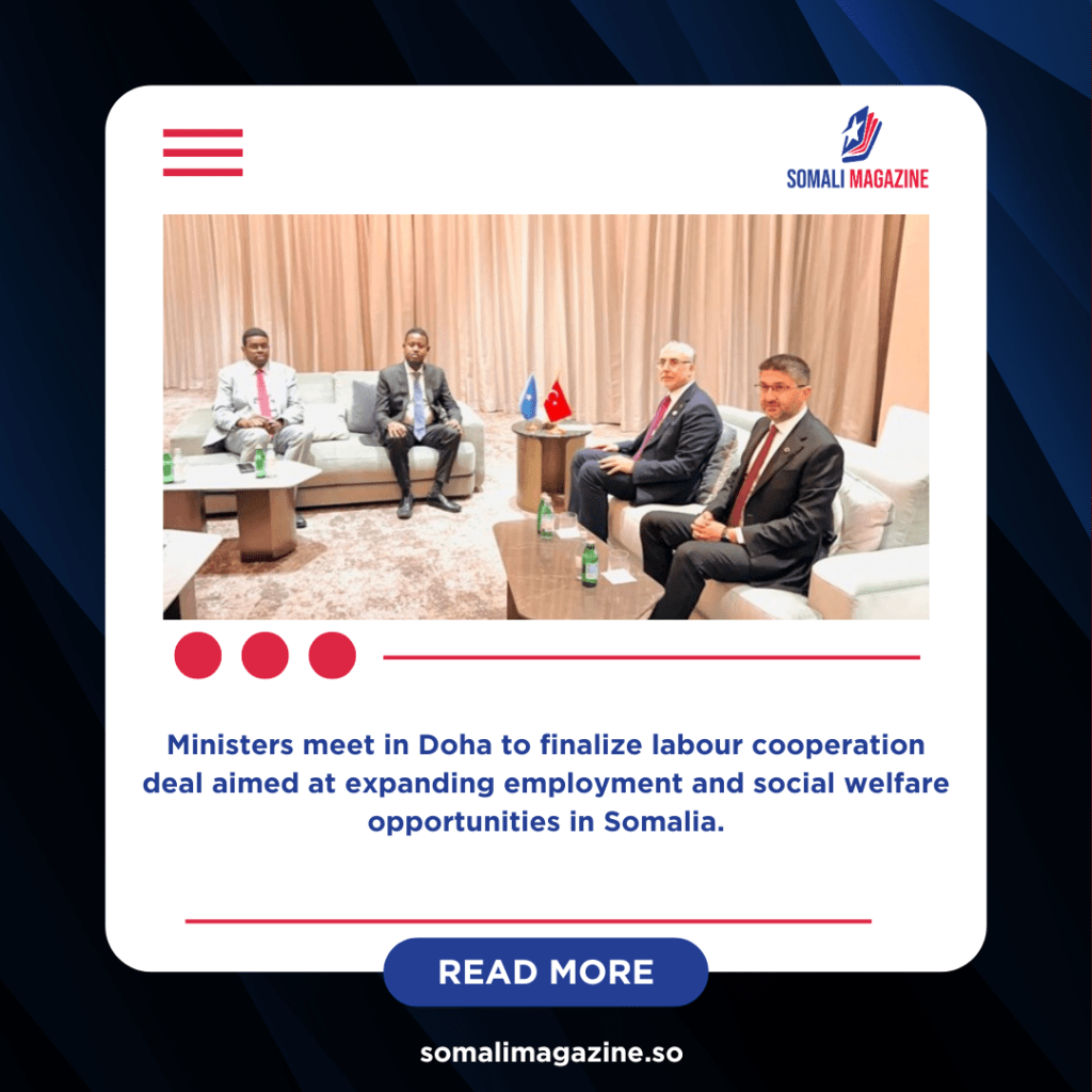 Somalia and Turkey Strengthen Labour Partnership to Boost Jobs and ...