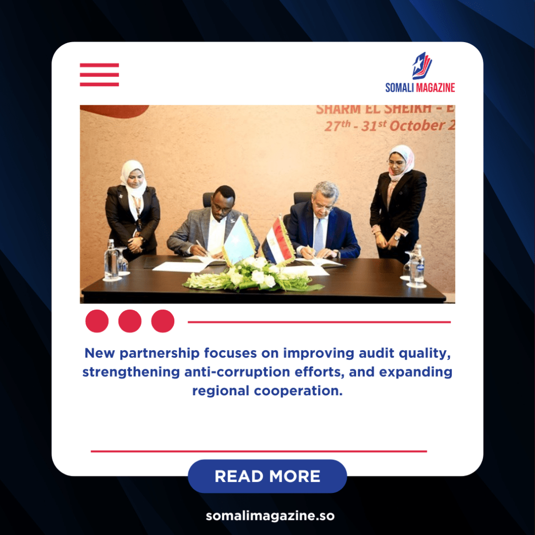 Somalia and Egypt Sign Key Agreement to Boost Public-Sector ...